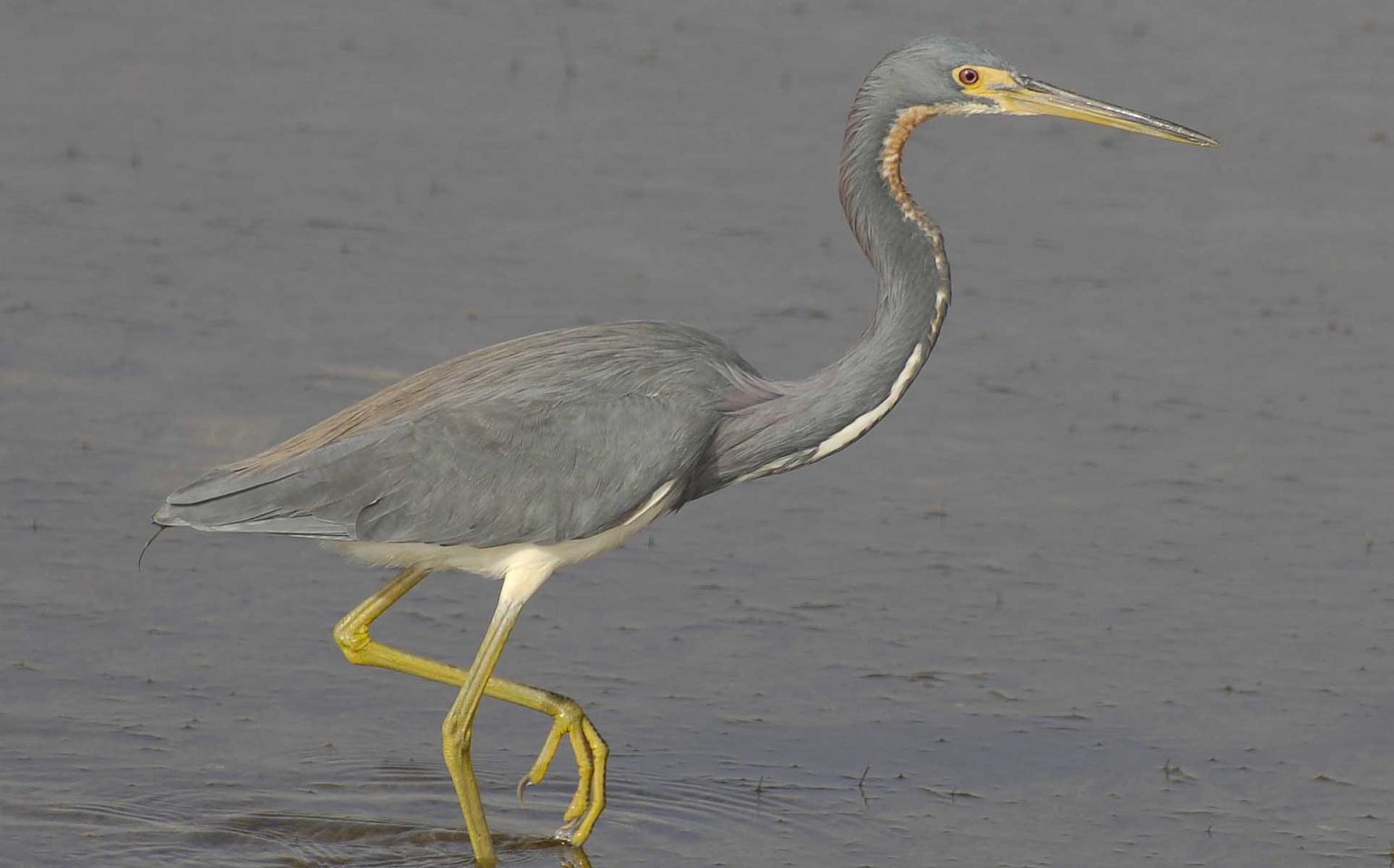 About - Calhoun County Texas